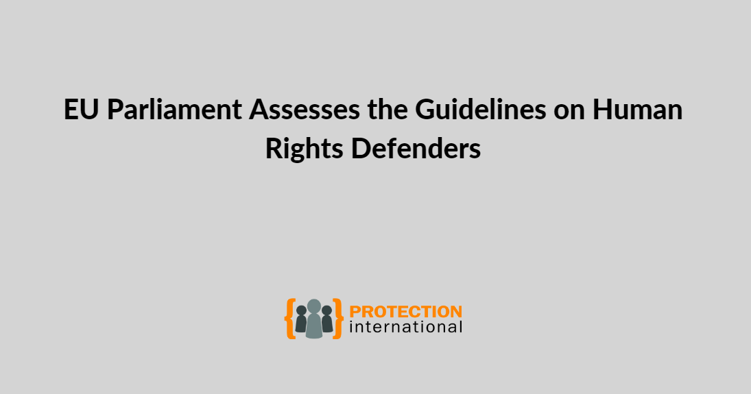 Eu Parliament Assesses the Guidelines on Human Rights Defenders