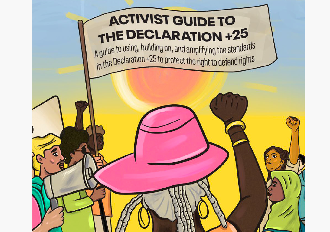 Launch of Activist Guide to the Declaration +25 - Protection International